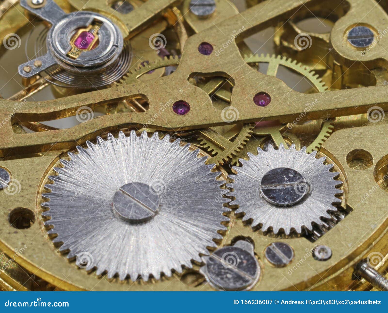 Close Up Backside of Clockwork Mechanism of a Golden Pocket Watch Stock ...