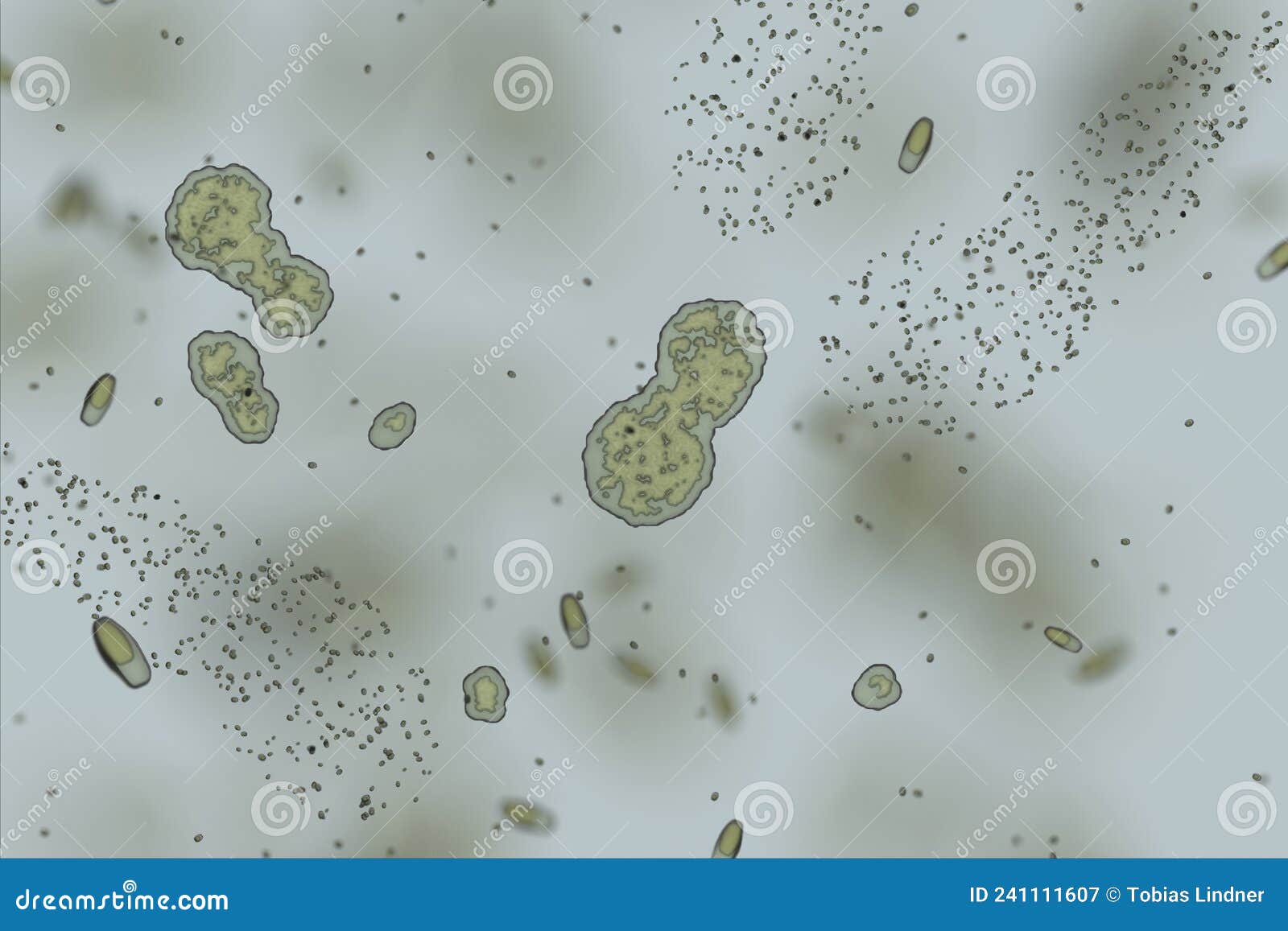 Close-up of Bacteria Under Microscope, Cgi Render Image Stock ...