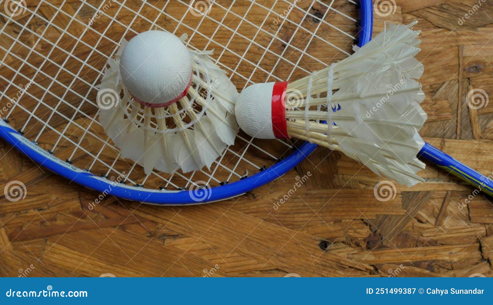 Close Up Badminton Racket with Two Used Shuttlecock Stock Image - Image ...