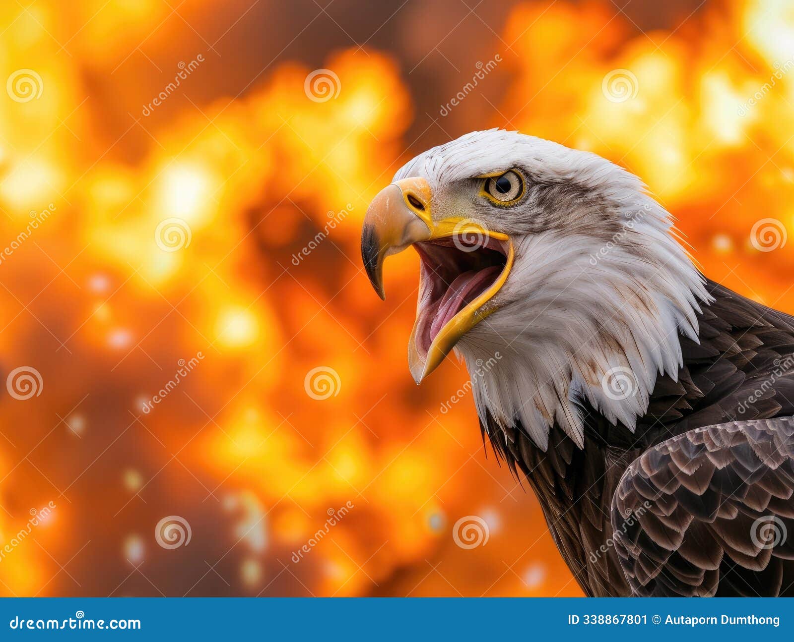 Close-up of a Bald Eagle with an Open Mouth Against a Dramatic Background of Fire and Flames ...
