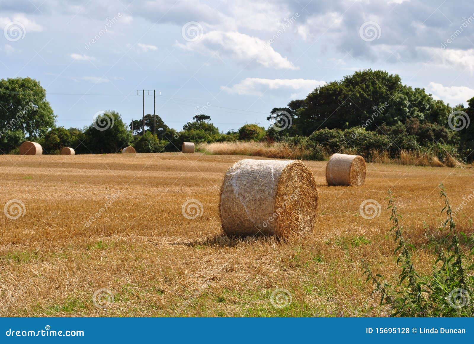 Close Up of Bales in a Field Stock Photo - Image of natural, bales ...