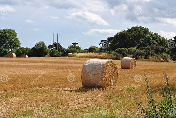 Close Up of Bales in a Field Stock Photo - Image of natural, bales ...