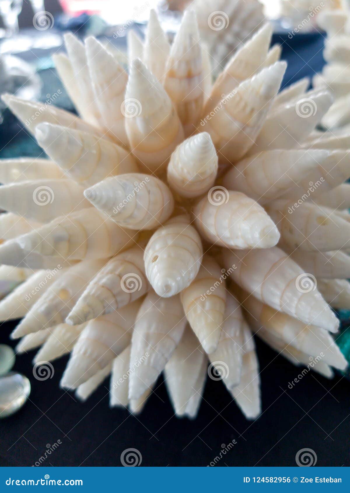 Close Up of a Ball Made of Shells Stock Photo - Image of decor, pieces ...