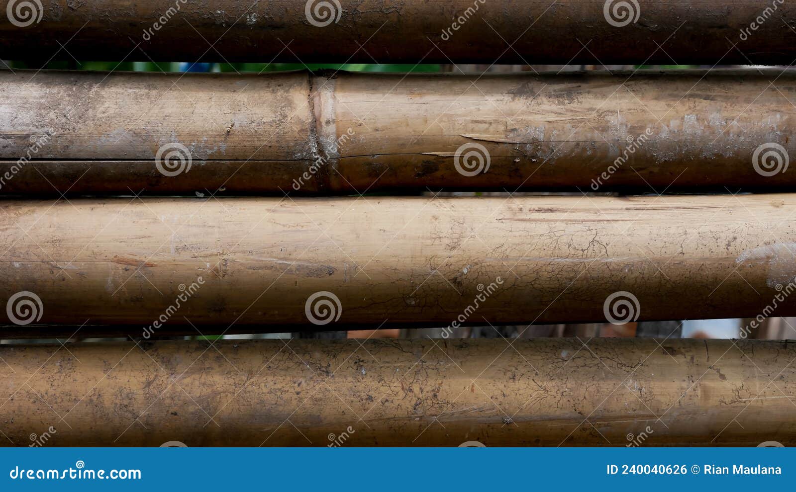 Close Up Of Bamboo Cane Texture Stock Photo | CartoonDealer.com #240040626