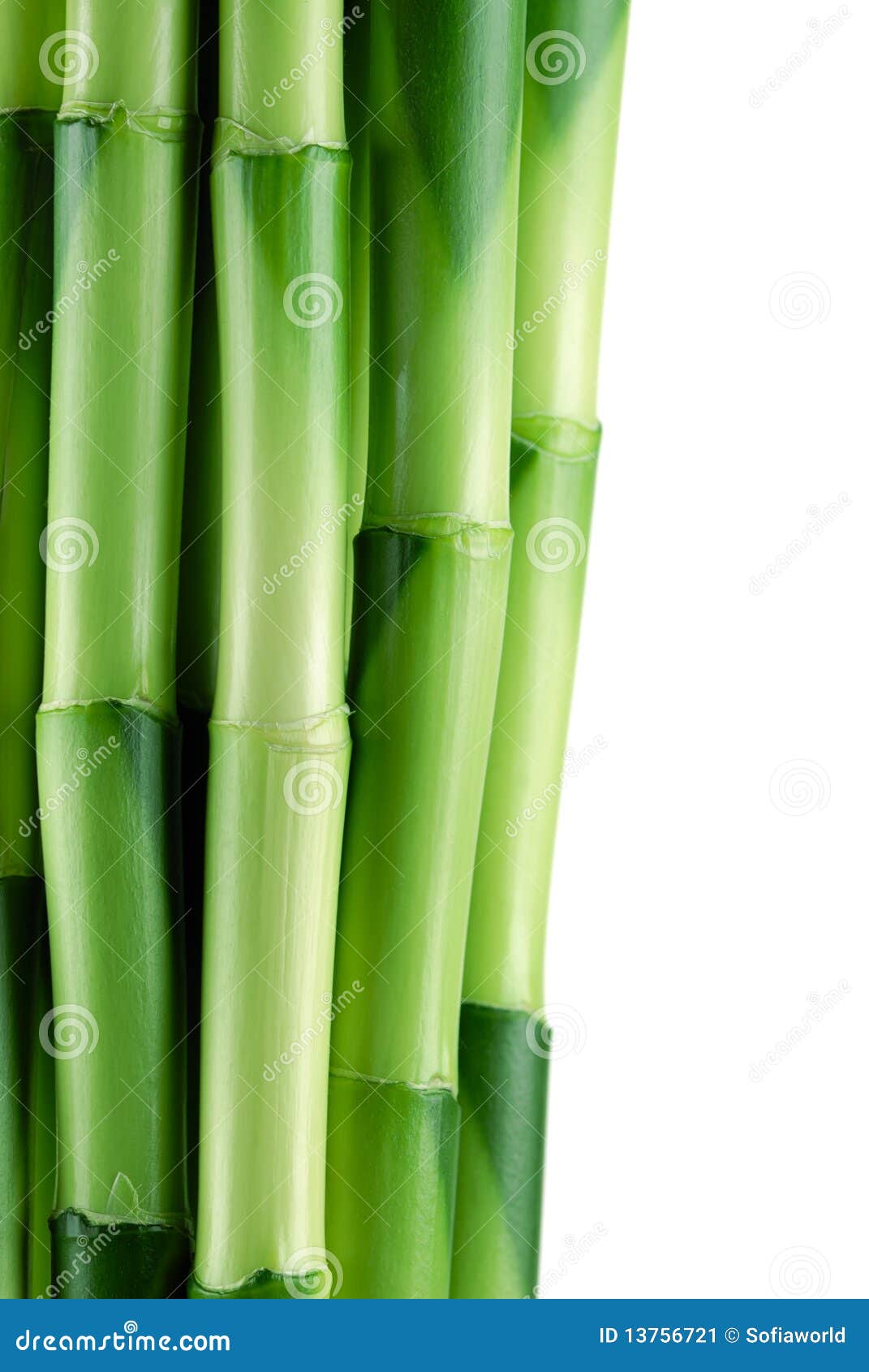 Close up of bamboo stems stock image. Image of east, lush - 13756721