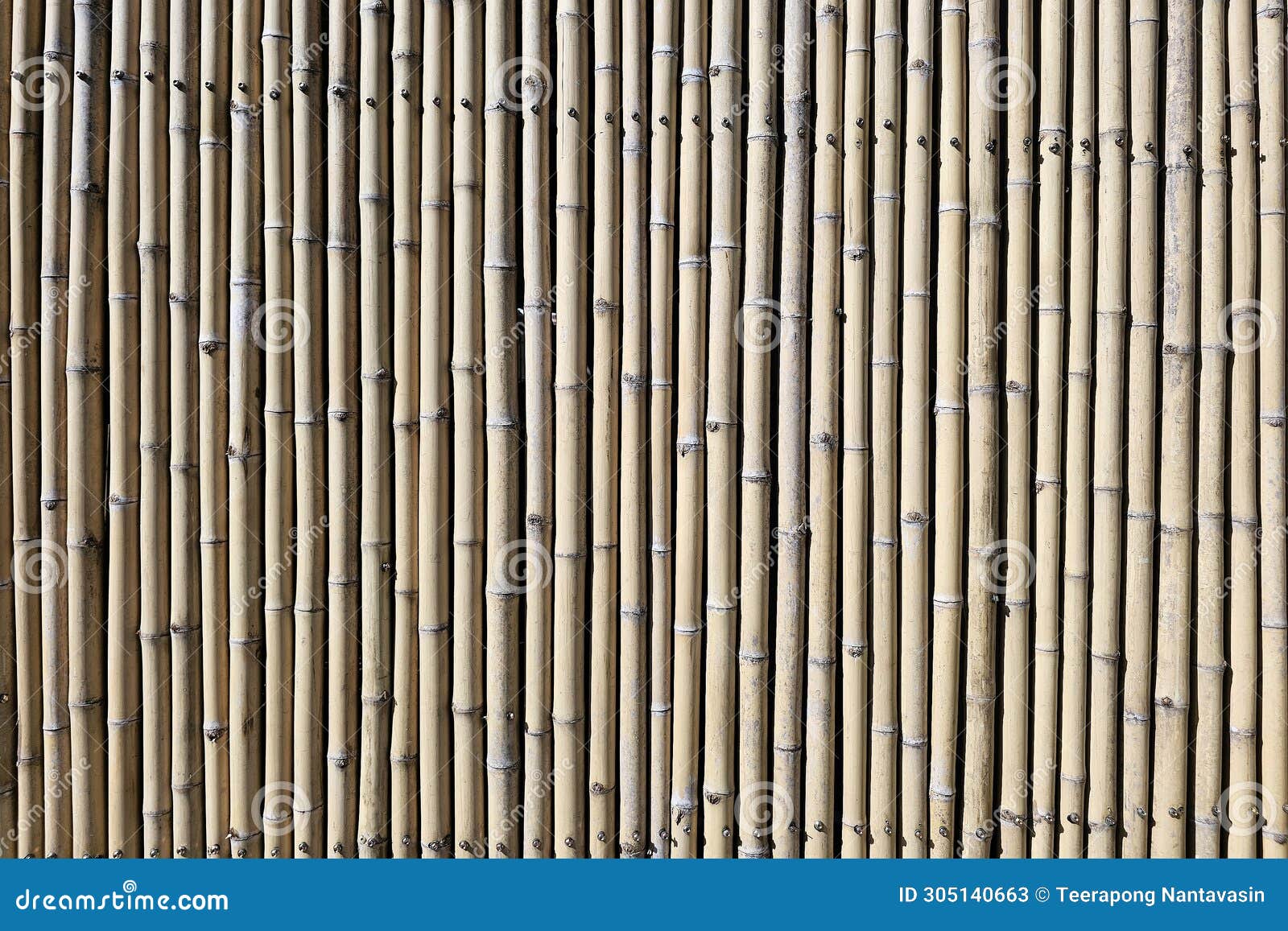 Close Up Bamboo Stick Wall Texture Background. Stock Image - Image of ...