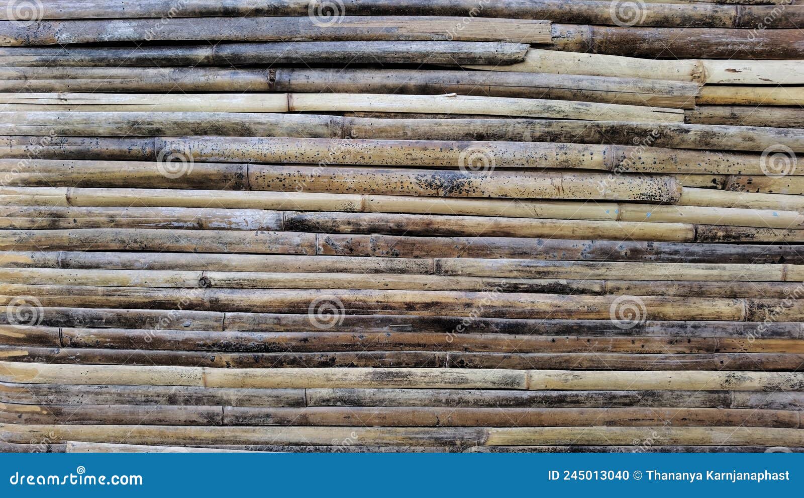 Close up of bamboo texture stock photo. Image of asia - 245013040