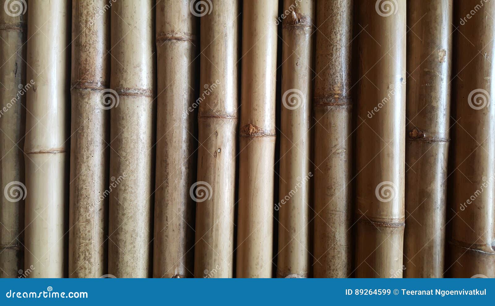 Close-up Bamboo Texture and Side Shadows with Natural Patterns ...
