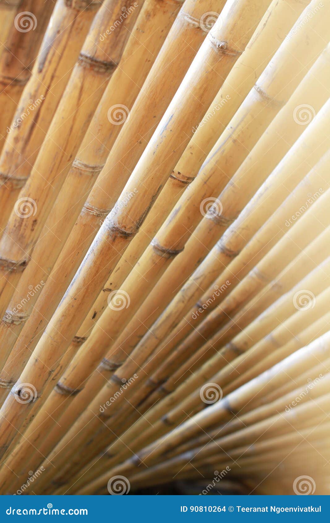 Close-up Bamboo Texture and Side Shadows with Natural Patterns ...