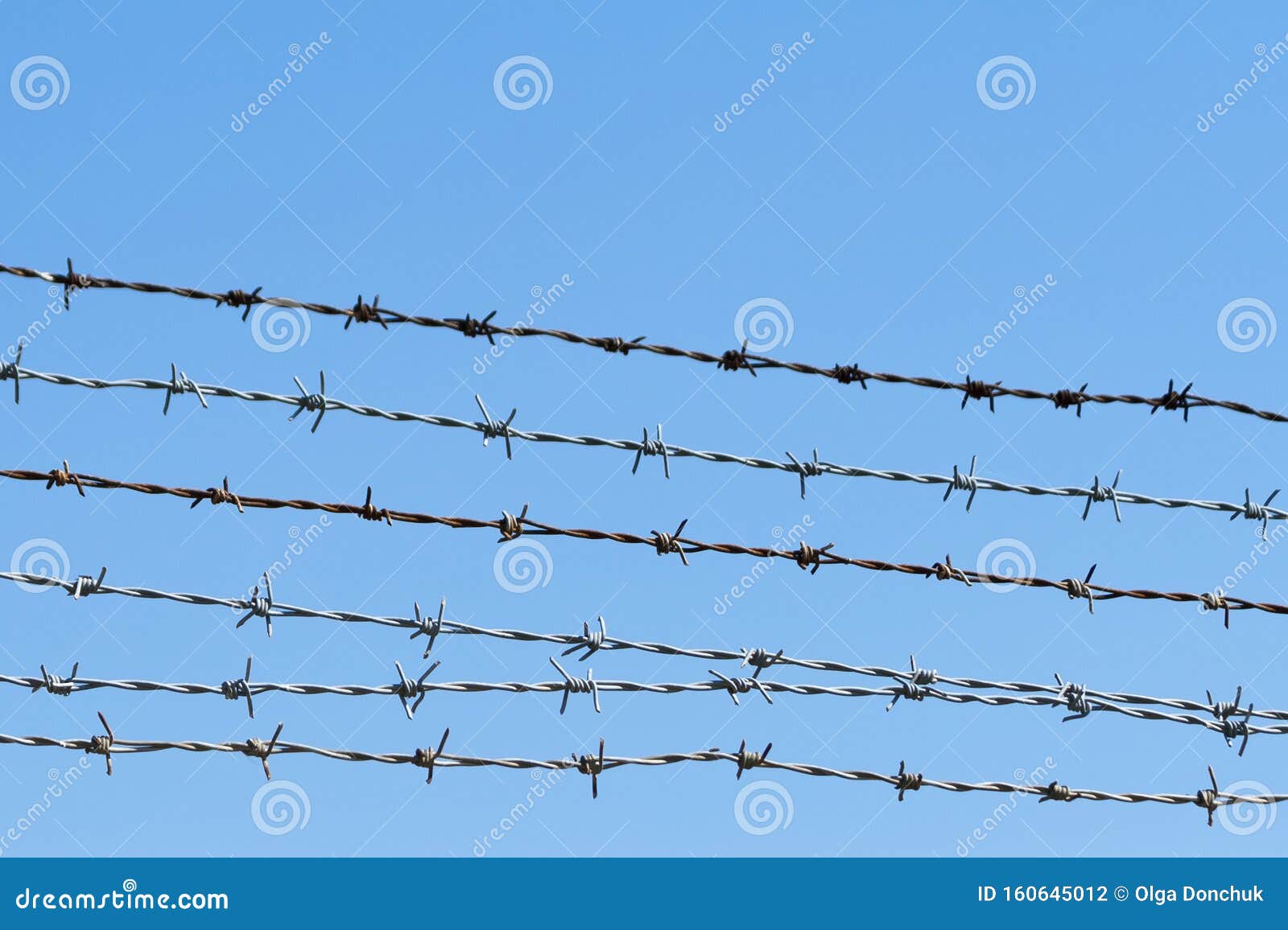 Barbed Wire in Front of Blue Sky Stock Photo - Image of barbed ...