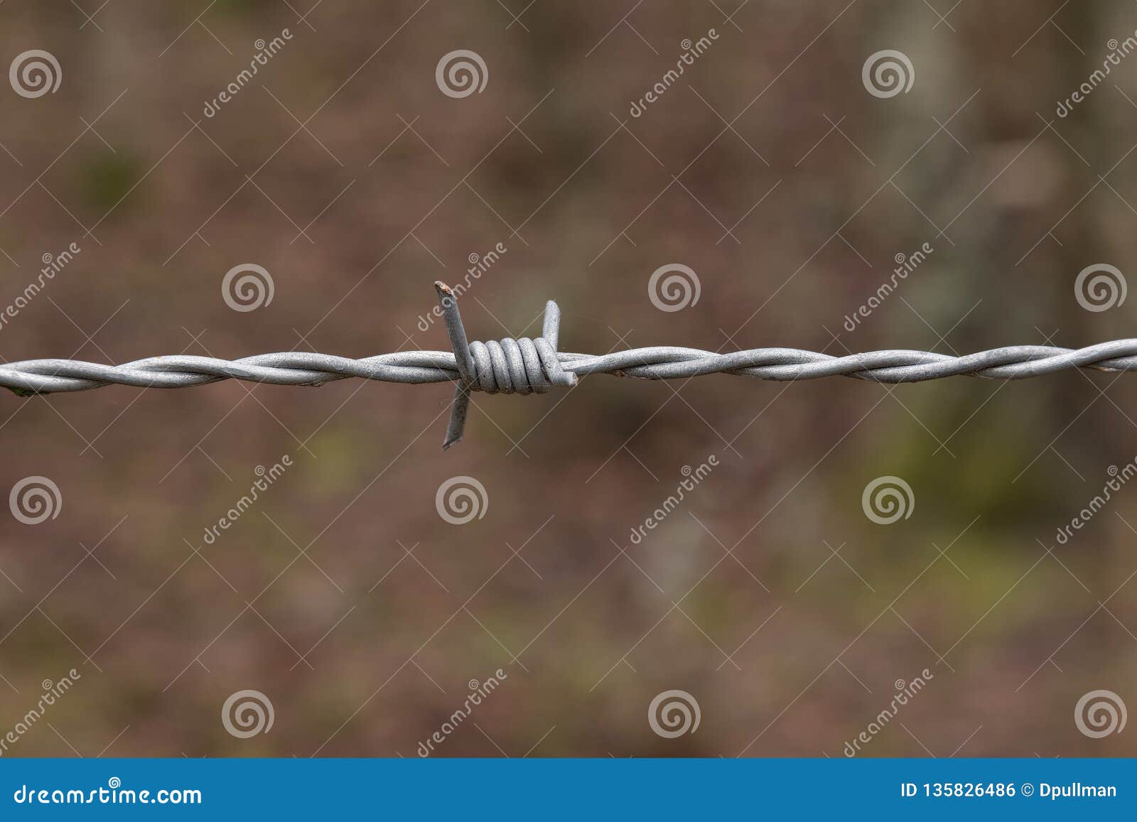 Close up of barbed wire stock photo. Image of wire, fence - 135826486