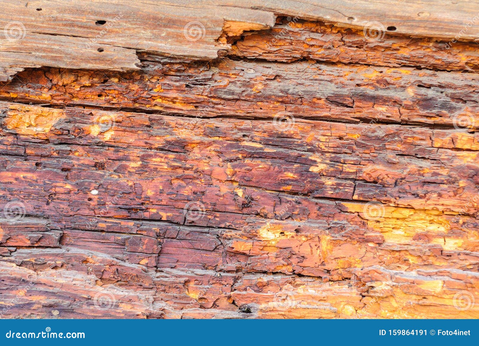 Close-up of Bark and Pattern on the Side of an Old Log Stock Image ...