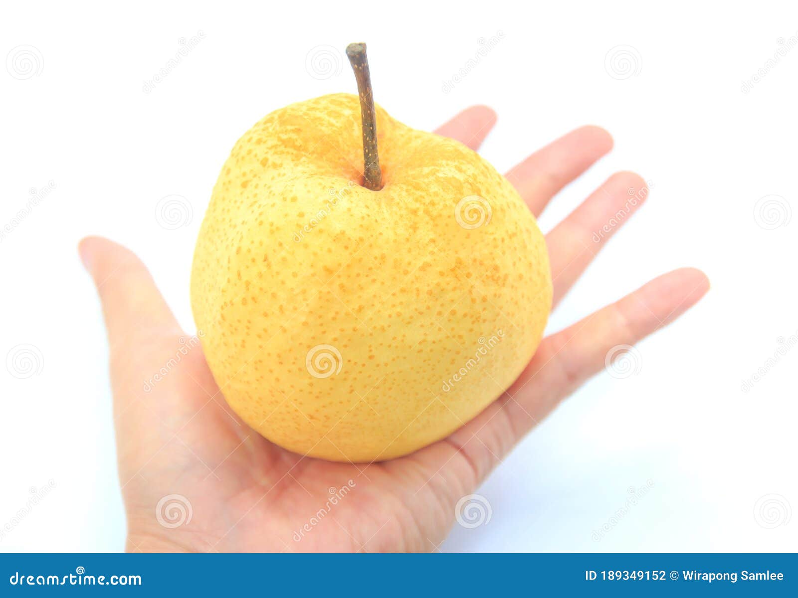 A Barrow fruit stock photo. Image of tasty, nutrition - 189349152