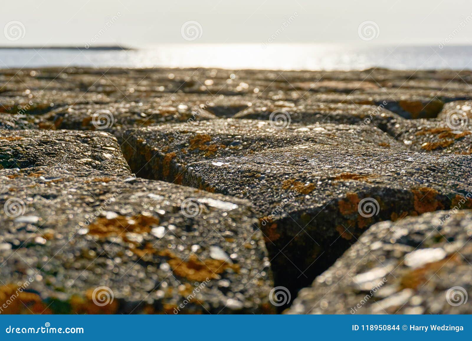Close-up of Basalt Stones in Front of Seascape Stock Photo - Image of ...