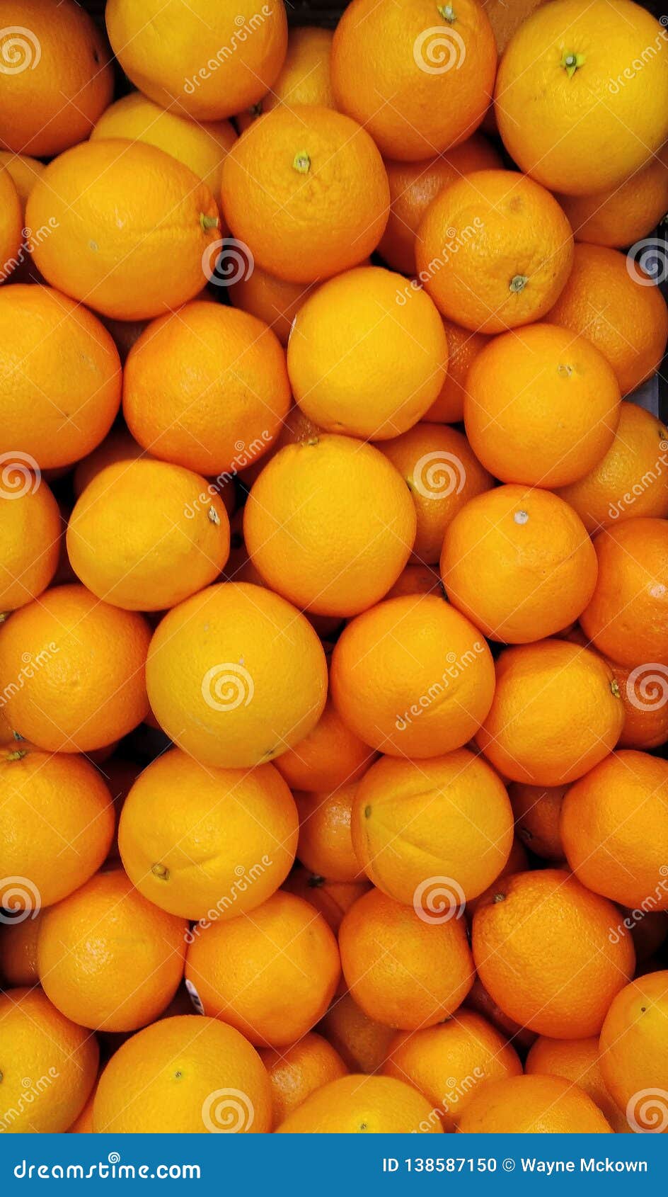 Fresh oranges stock photo. Image of farm, macro, breakfast - 138587150