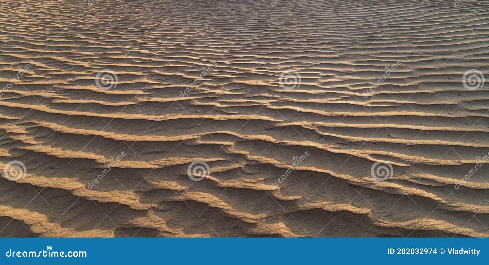 Sand surface texture off stock photo. Image of sandy - 202032974