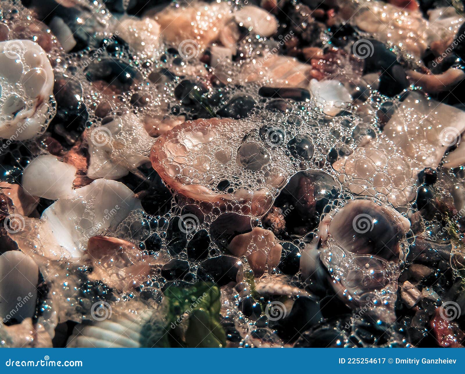 Shells and foam stock image. Image of foam, nature, water - 225254617