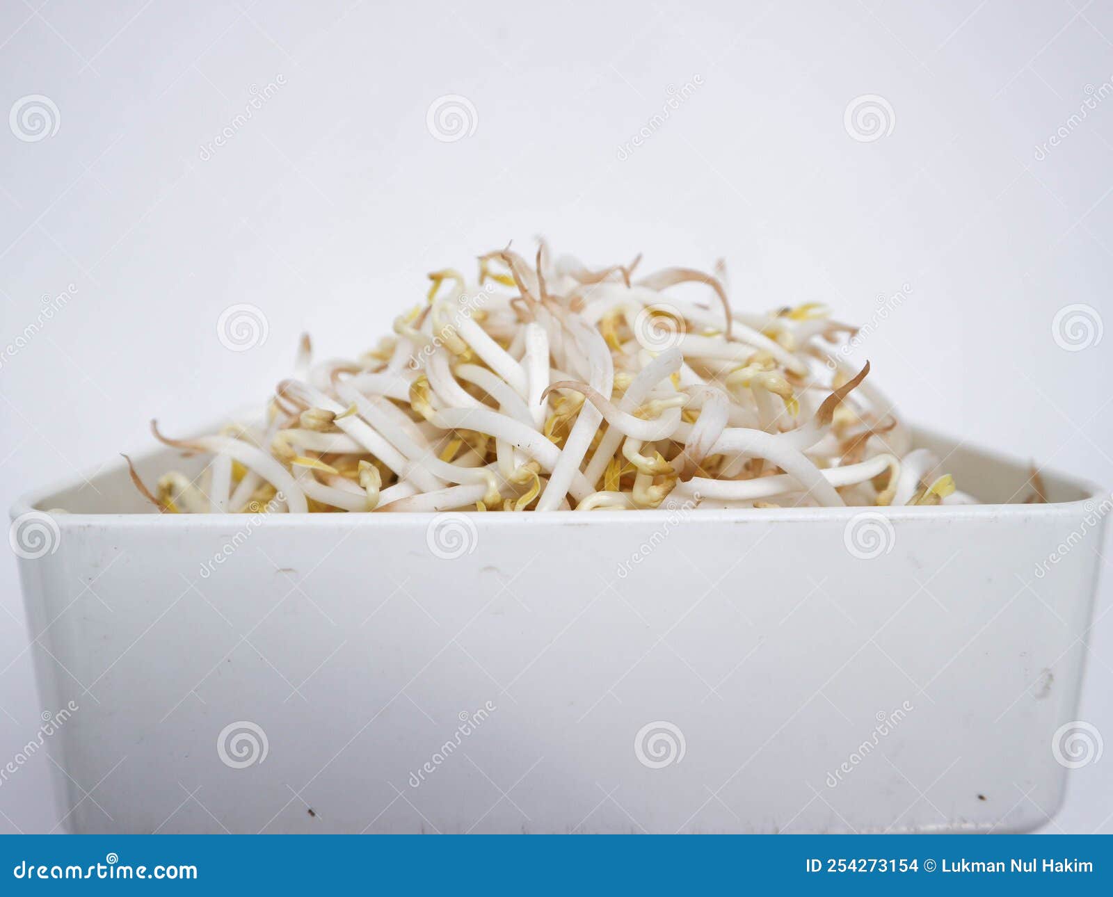 Close Up, Bean Sprouts in a Container Stock Photo - Image of healthy ...