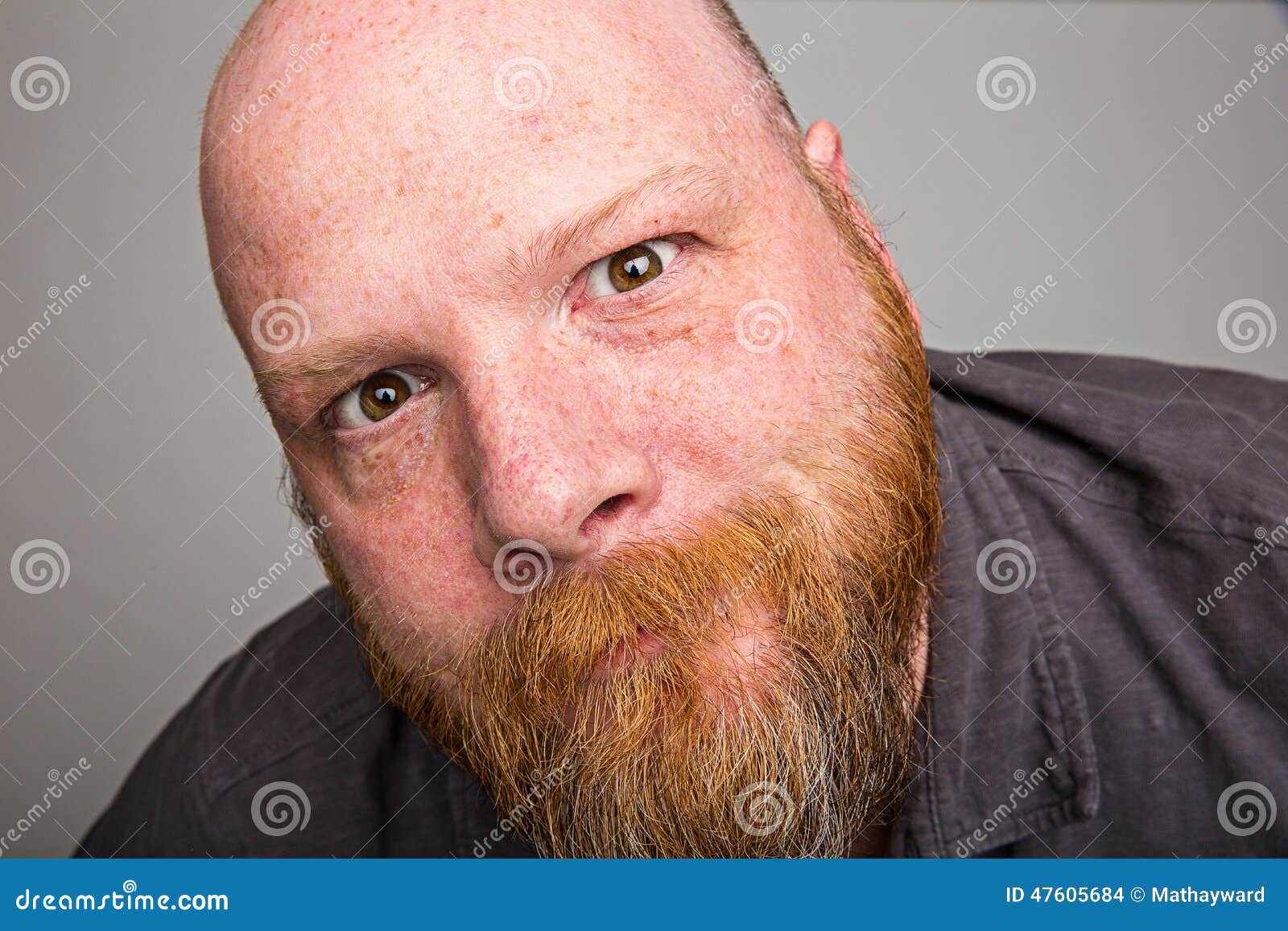 Close up beard face stock photo. Image of shaved, grooming - 47605684