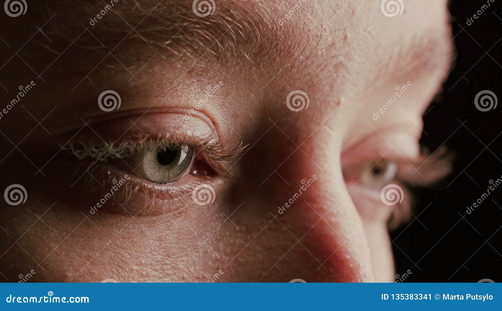 Close-up Beautiful Blue Eye Stock Image - Image of blue, natural: 135383341
