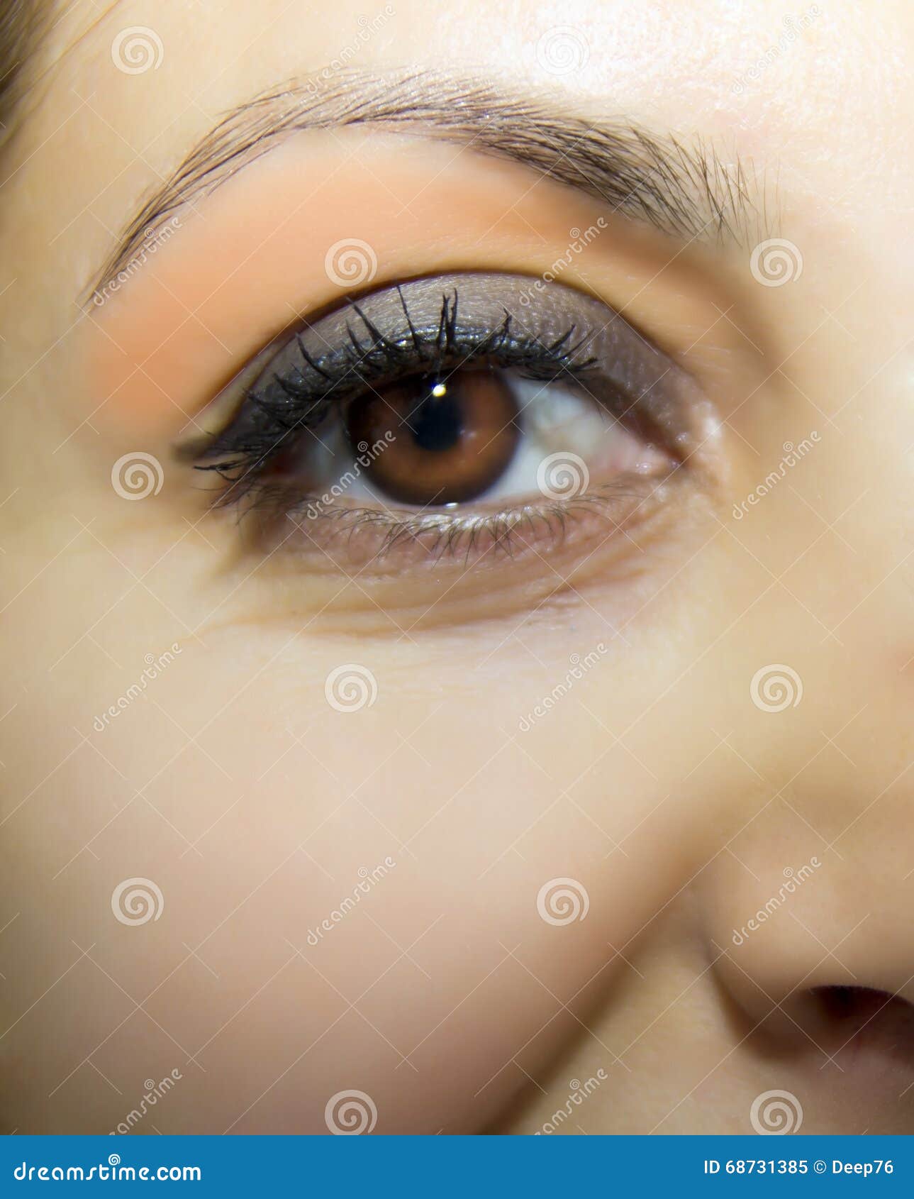 Close Up of Beautiful Brown Eye Stock Image - Image of eyebrows, bright ...