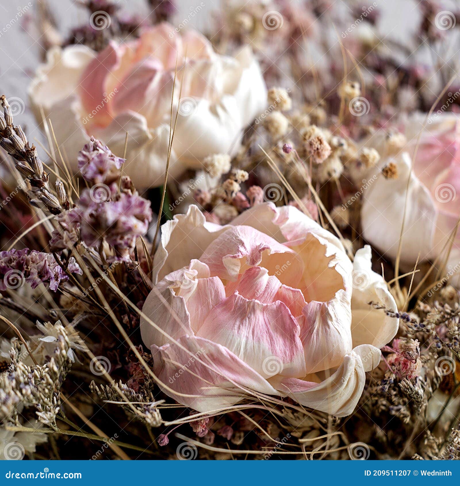 Close Up Beautiful Flowers Background Stock Image - Image of beautiful ...