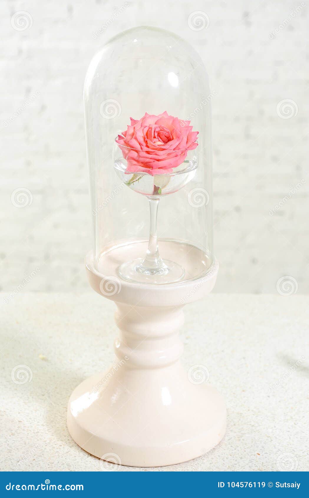 Beautiful Glass with Pink Rose Stock Image - Image of beautiful ...