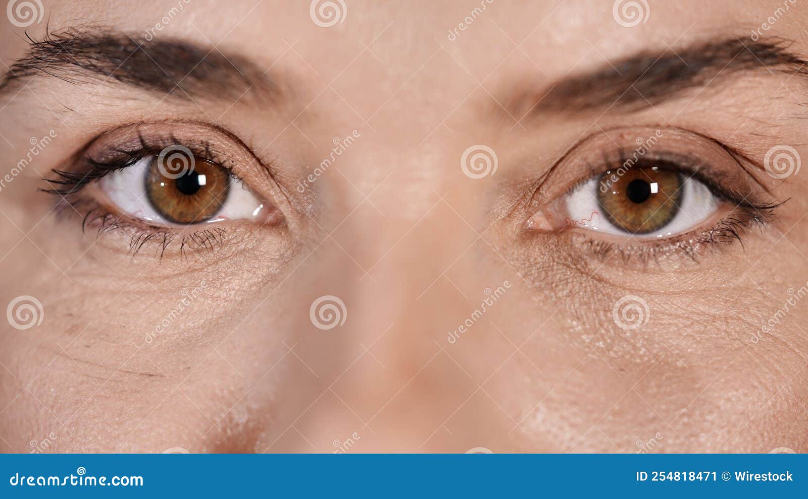 Close Up of Beautiful Hazel-brown Eyes. Stock Image - Image of adult ...