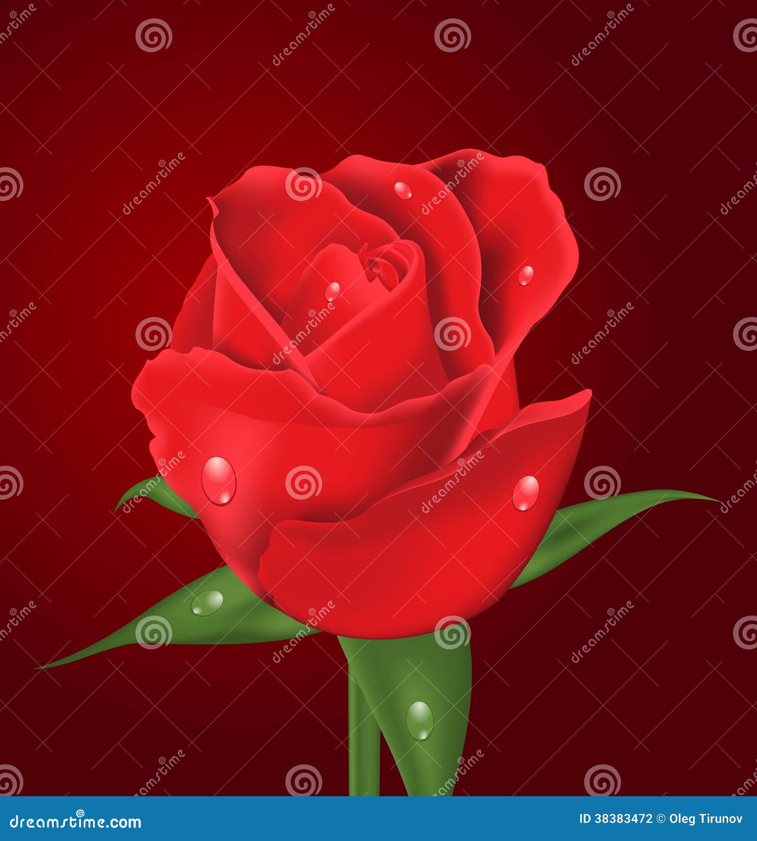 Realistic Rose Flower Bouquet On Circle Oval Frame Sketch Clipart ...