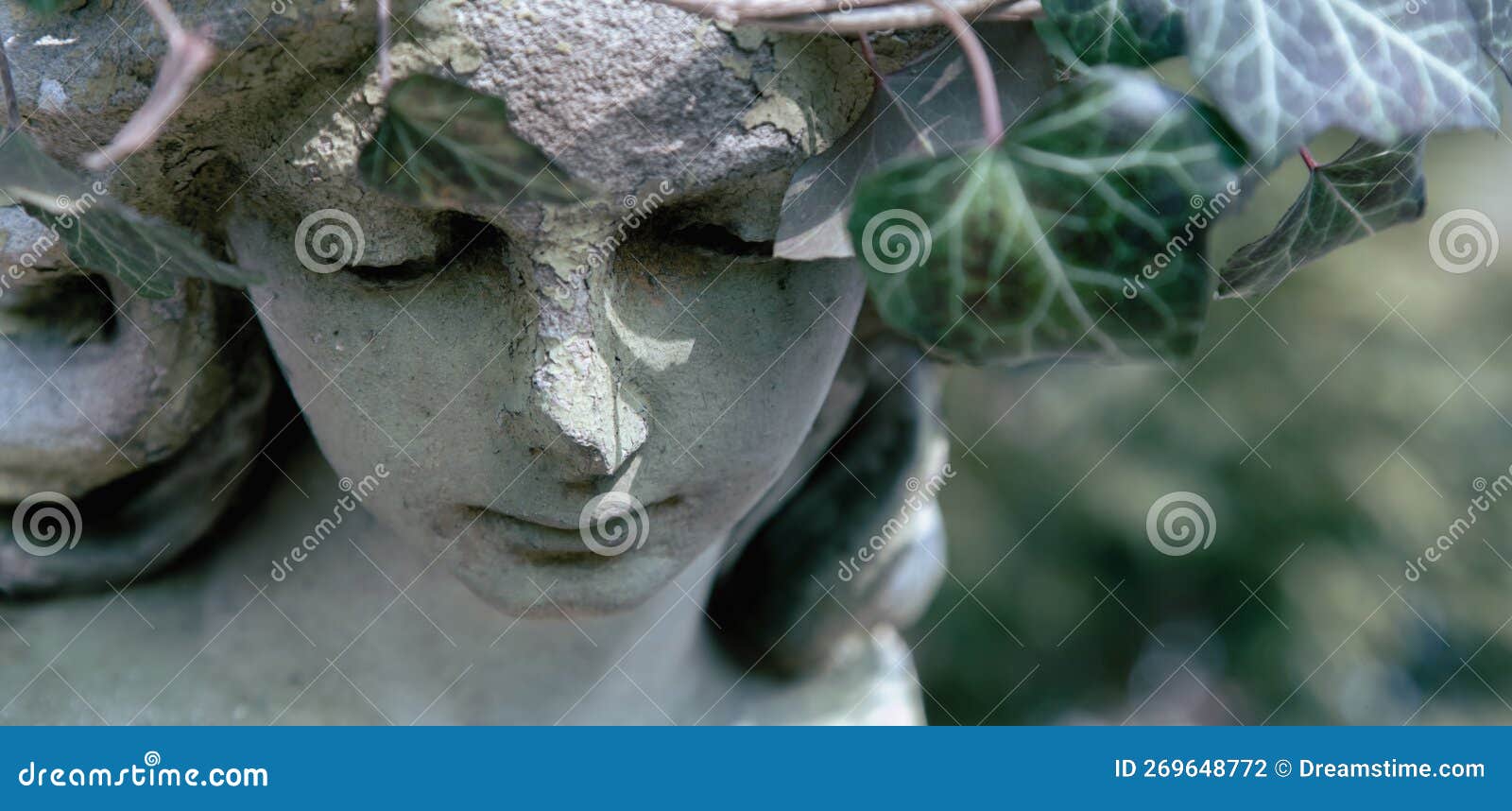 Close Up Beautiful Tender Bow of Angel Looking Down. Copy Space Stock ...