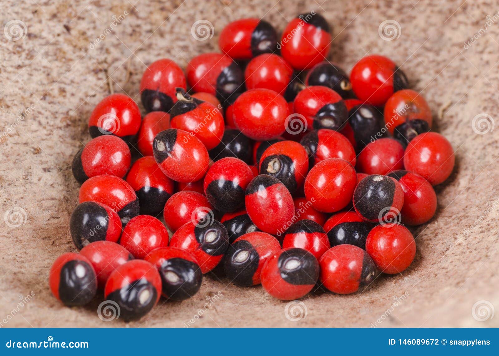 Red and black seeds stock photo. Image of close, ratti - 146089672