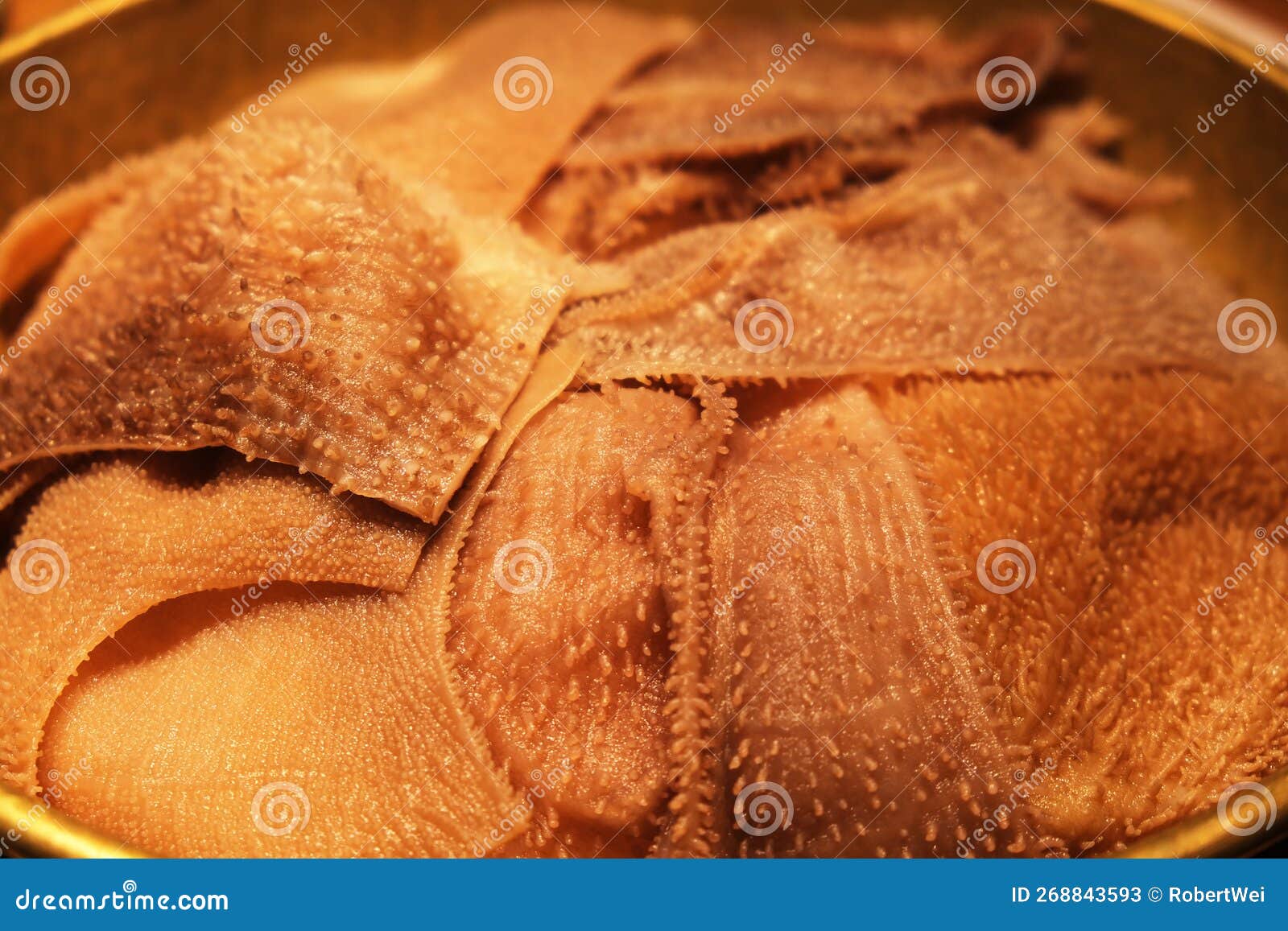 Close Up Beef Tripe Raw Food in Plate Stock Image - Image of tripes ...