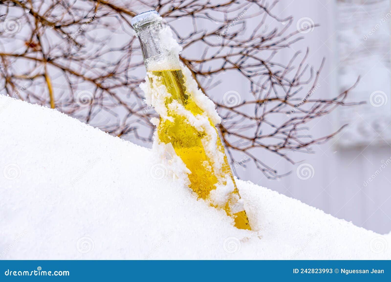 Close Up of Beer Bottle in the Snow Stock Image - Image of closeup ...