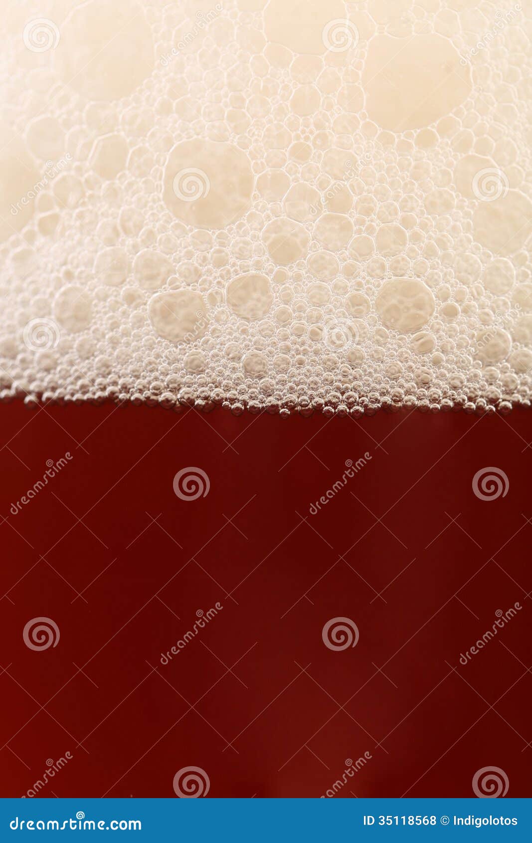 Close Up of Beer with Foam. Stock Photo - Image of condensation ...