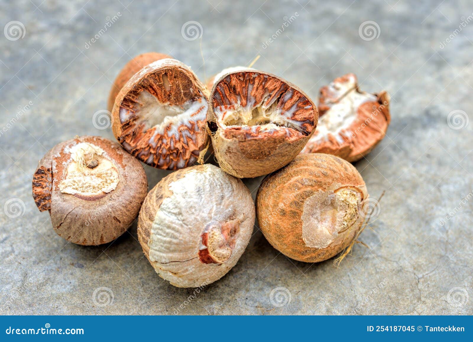 Betel Nut or Areca Nut Background Stock Image - Image of peanut ...