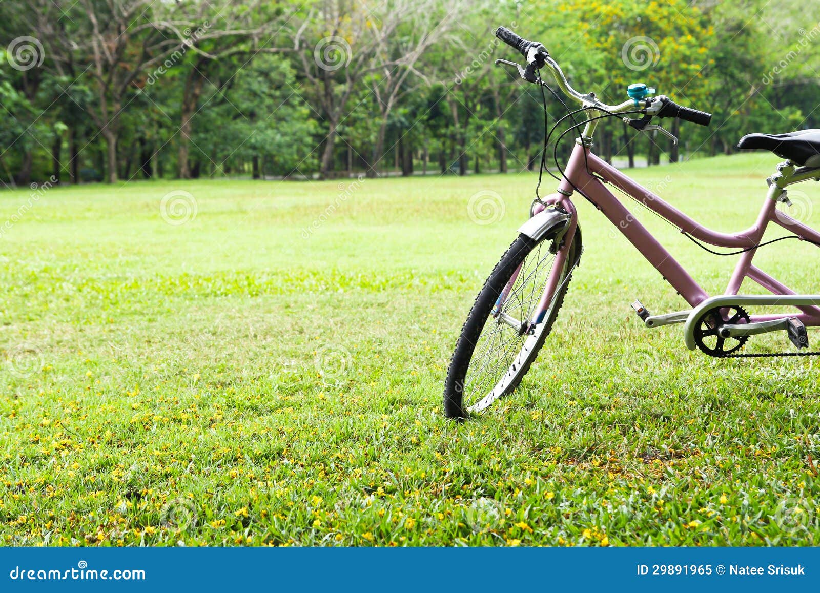 Bicycle in the park stock image. Image of sport, life - 29891965