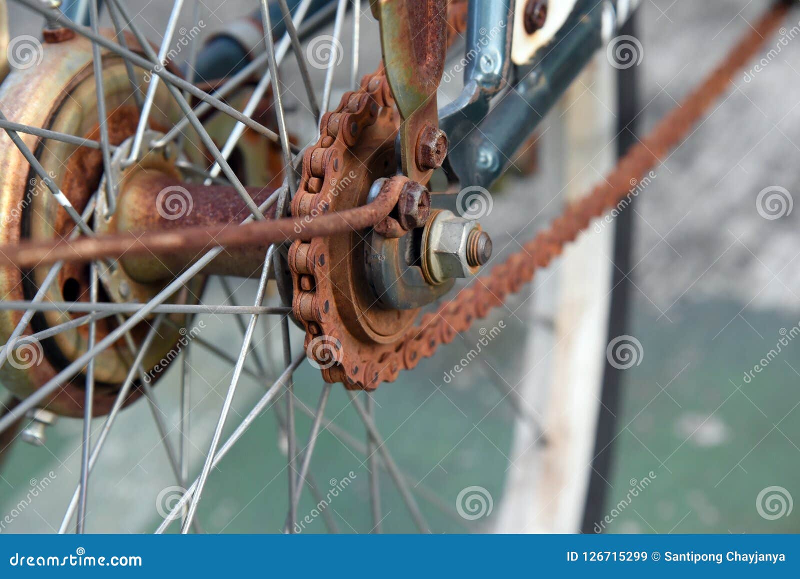 Close Up Bicycle Part with Old Cassette Gear is Rusty. Bicycle Gear is ...