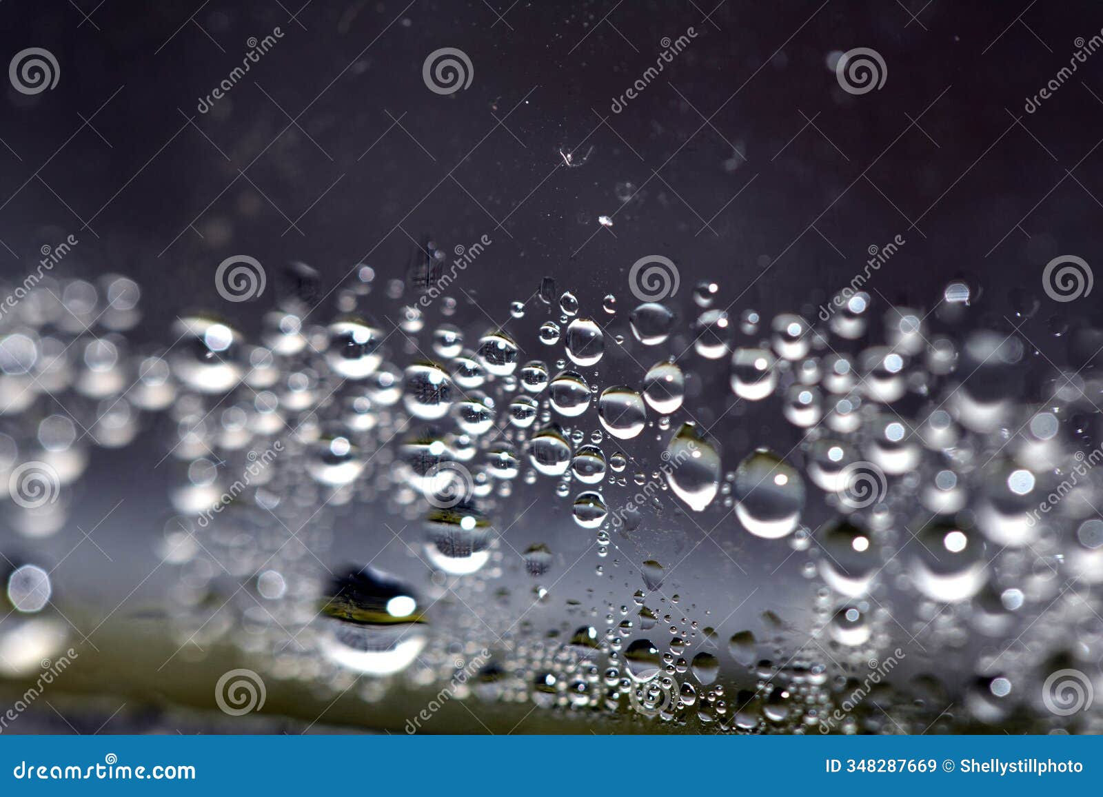 Close Up of Big Floating Water Bubbles on Glass after the Rain Stock ...