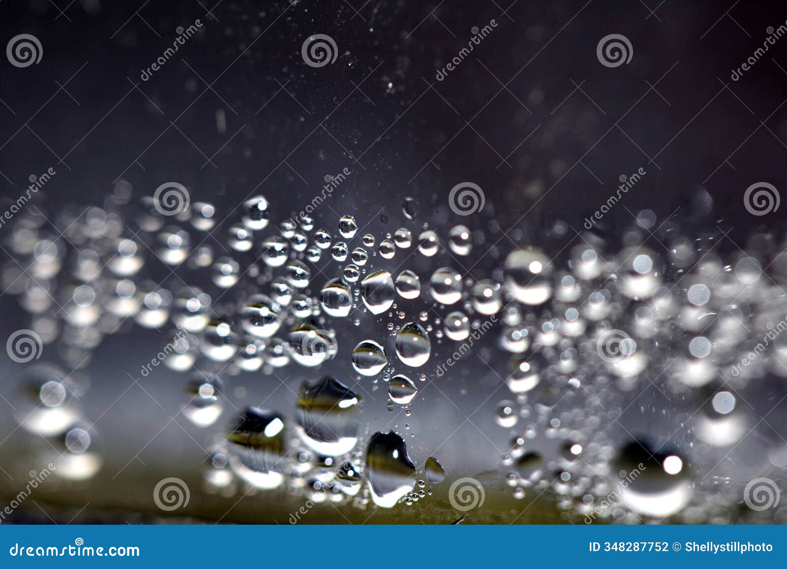 Close Up of Big Floating Water Bubbles on Glass after the Rain Stock ...