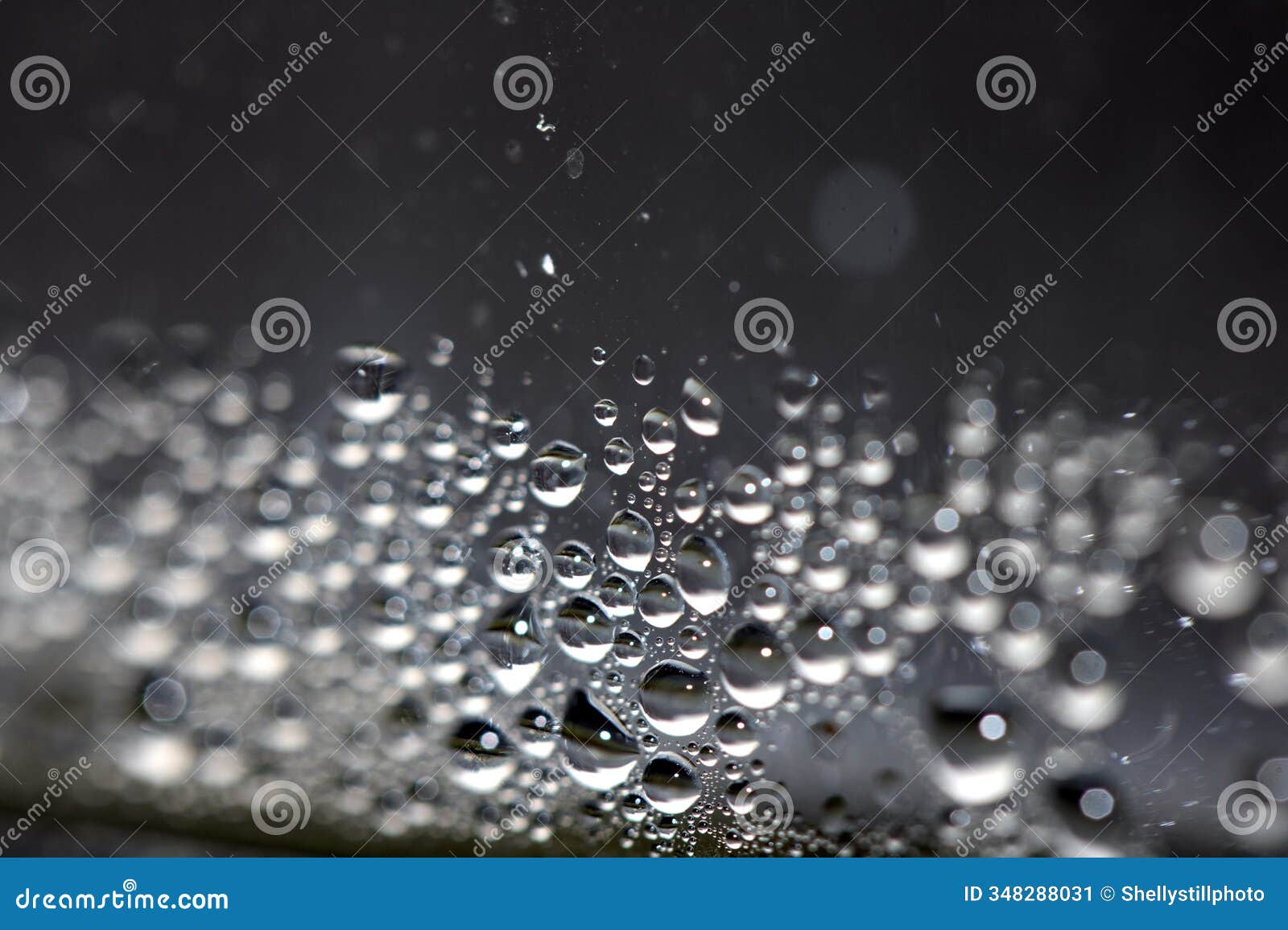 Close Up of Big Floating Water Bubbles on Glass after the Rain Stock ...