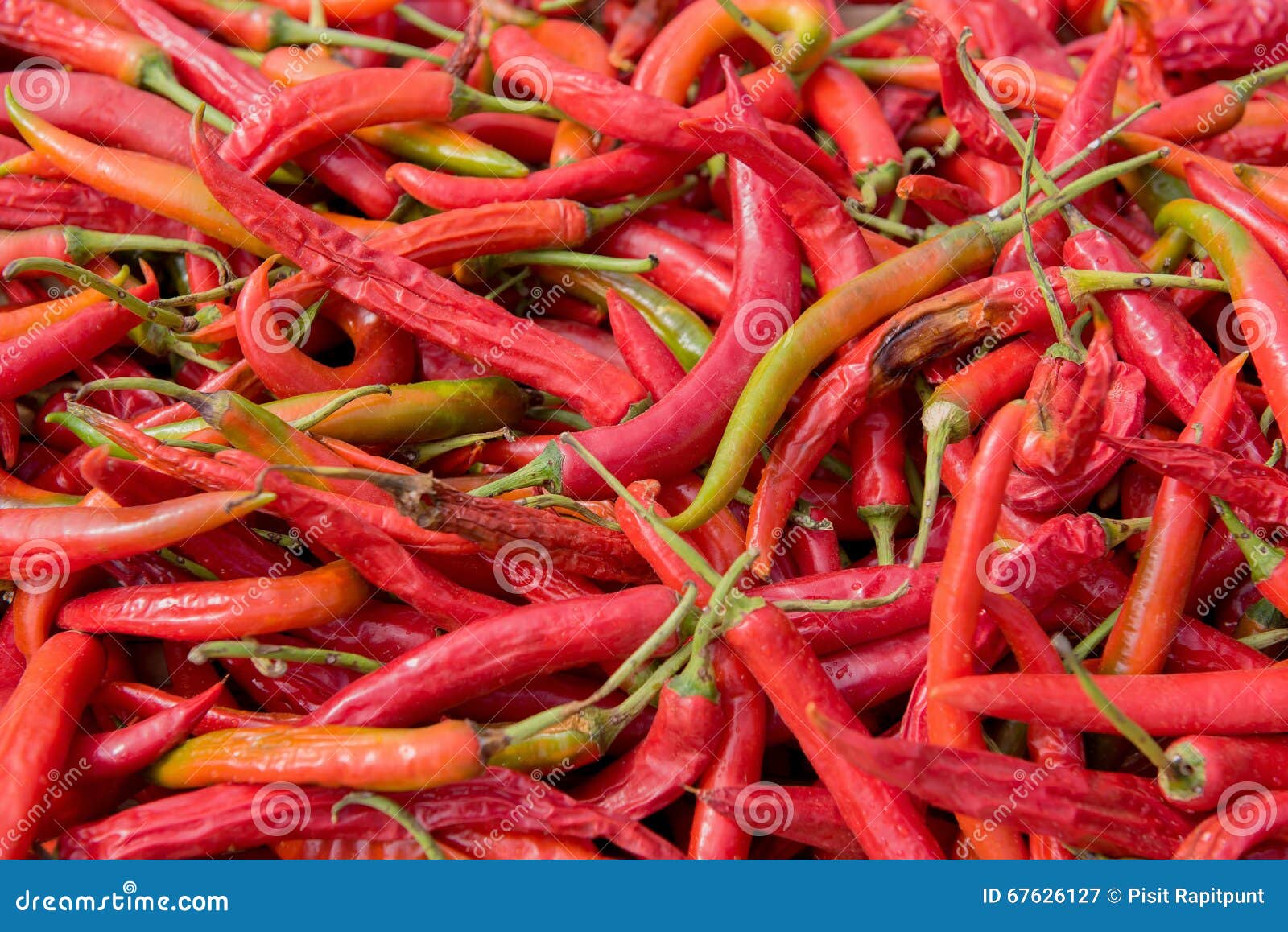 Close Up Big Red Chili Pepper Background. Stock Image - Image of ...
