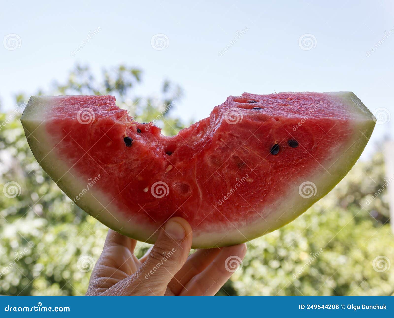 Close-up of Bitten Watermelon Slice Stock Photo - Image of watermelon ...