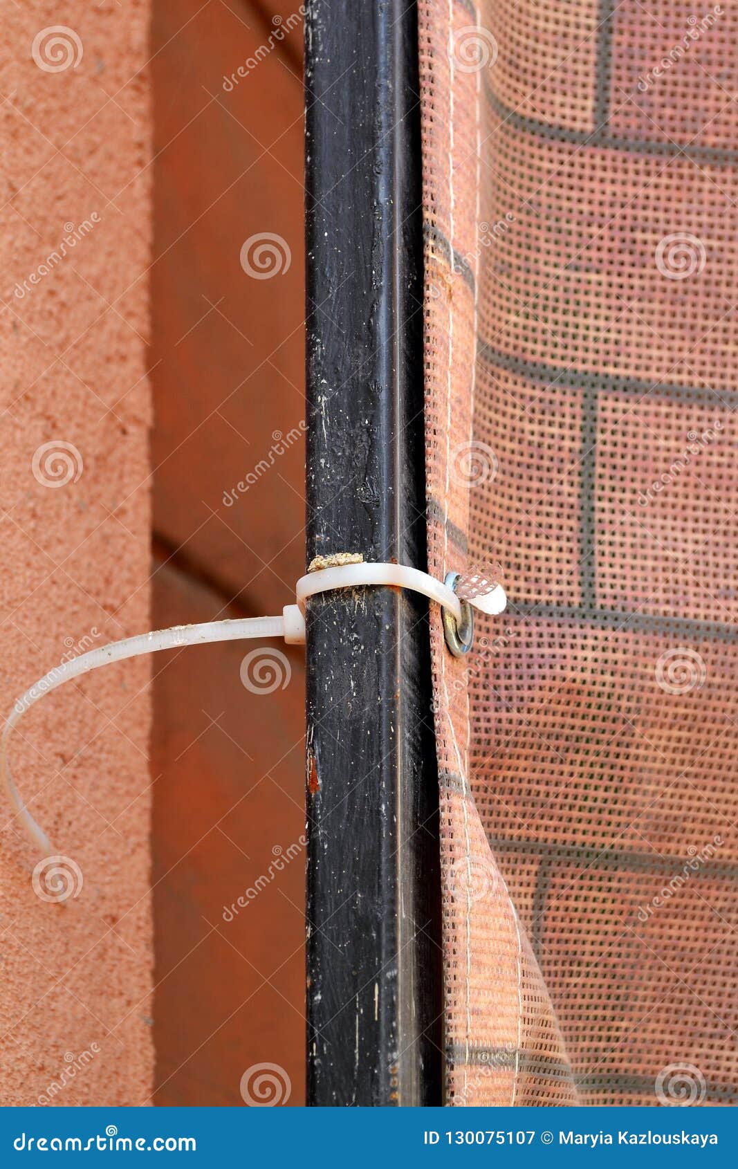 Close Up of Binding of Construction Mesh To Scaffolding with Plastic ...