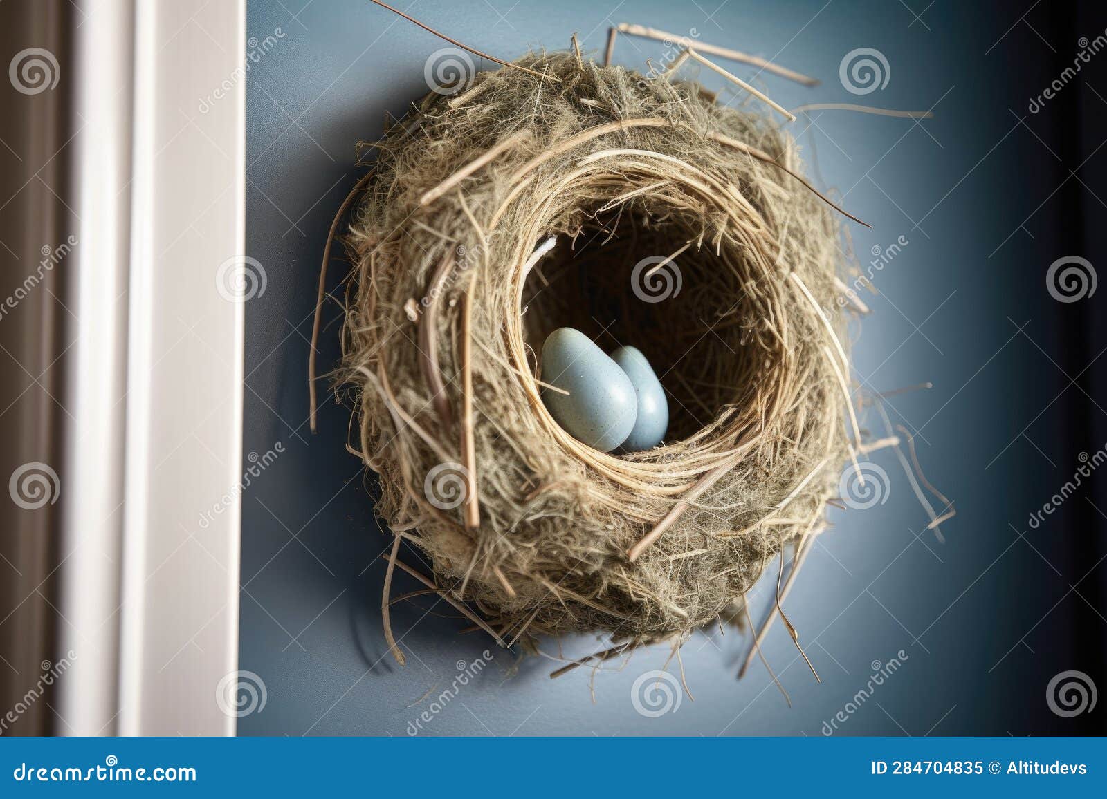 Close-up of a Bird Nest Built Inside a Vent Stock Illustration ...