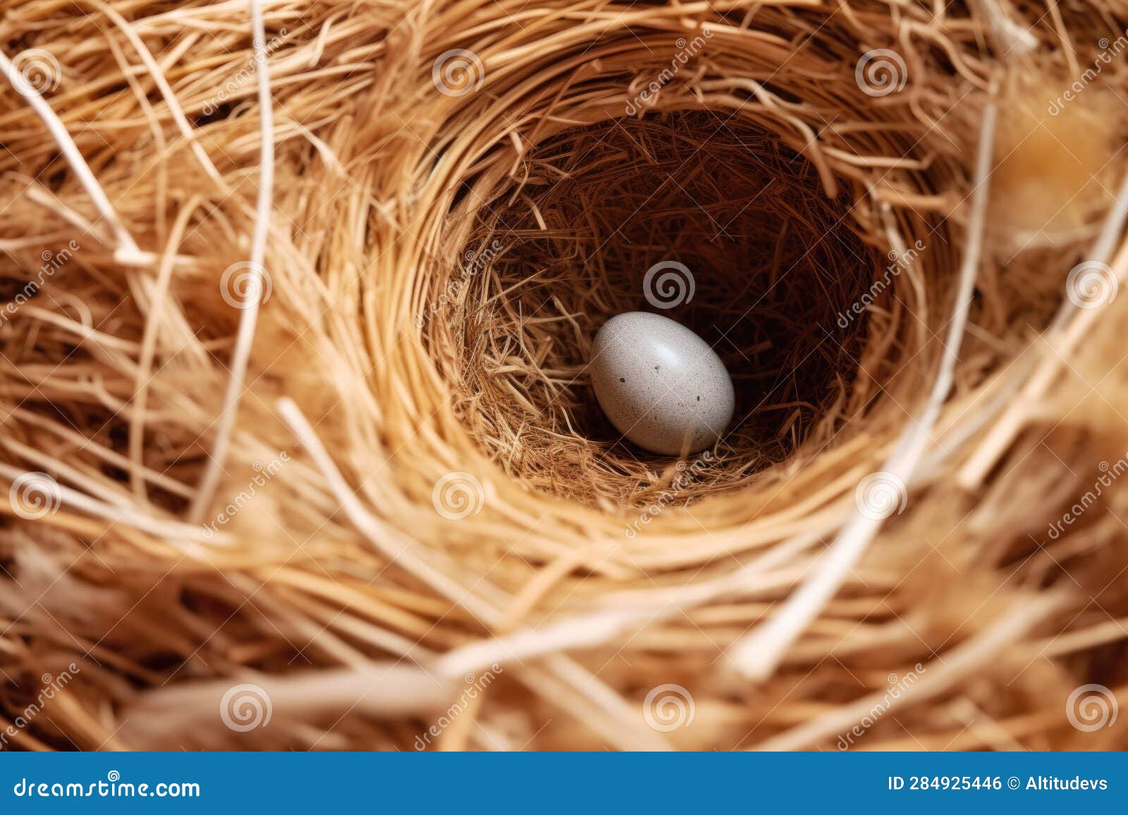 Close-up of Bird Nest Materials Inside a Vent Stock Illustration ...