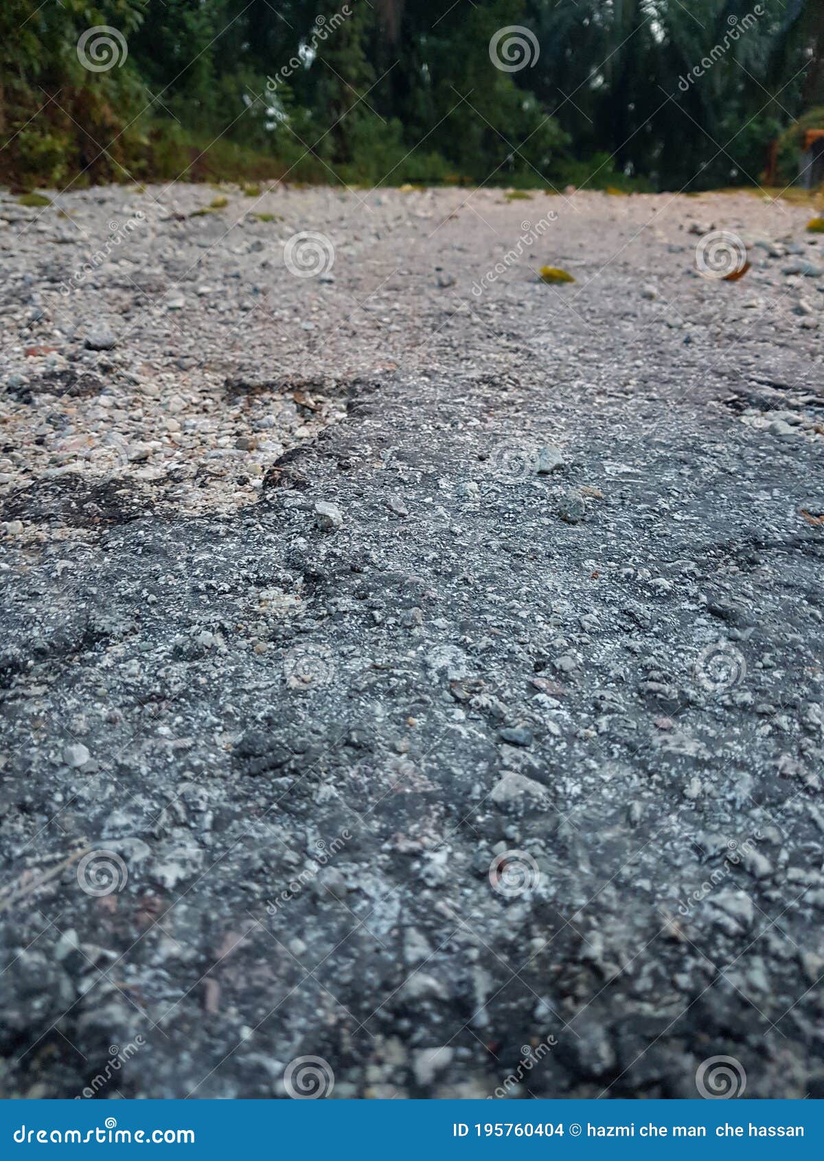 Close up bitumen road stock photo. Image of winter, close - 195760404