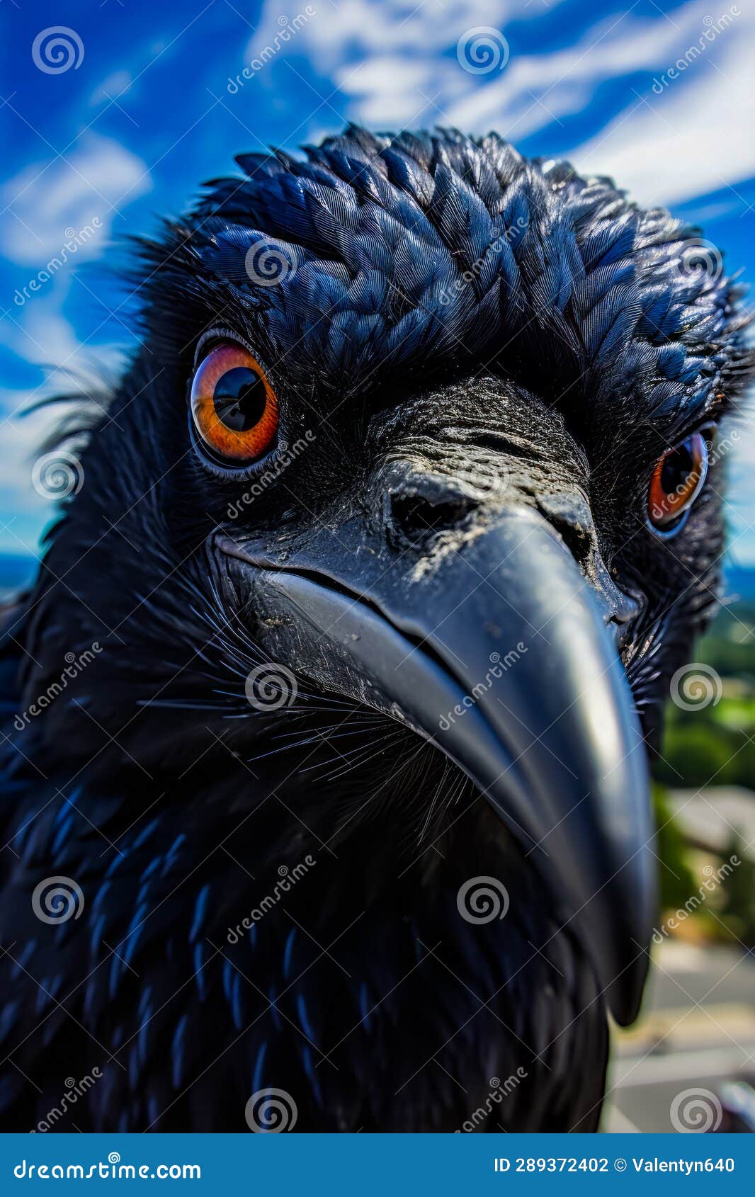 Close Up of Black Bird with Orange Eyes and Black Beak. Generative AI ...