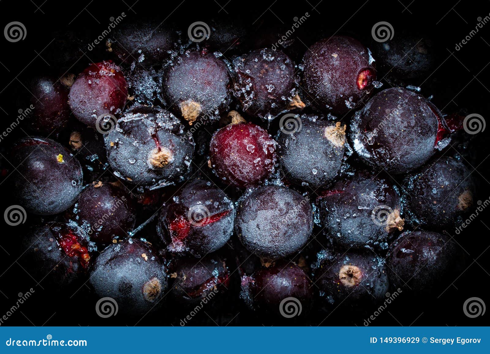Close Up of Black Currant Berries Frozen with Ice Stock Image - Image ...