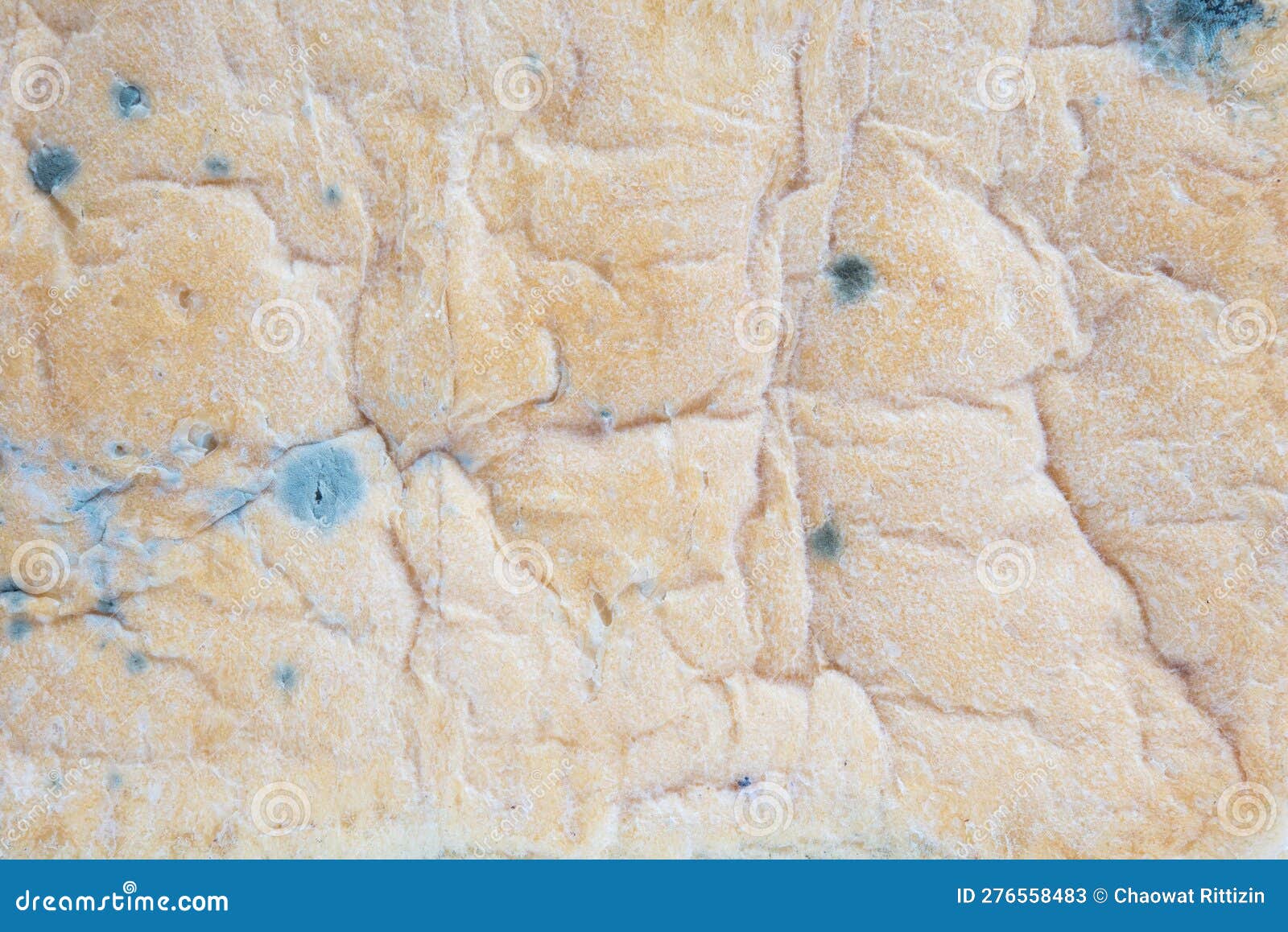 Close Up of Black Fungus on Expire Bread Stock Image - Image of ...