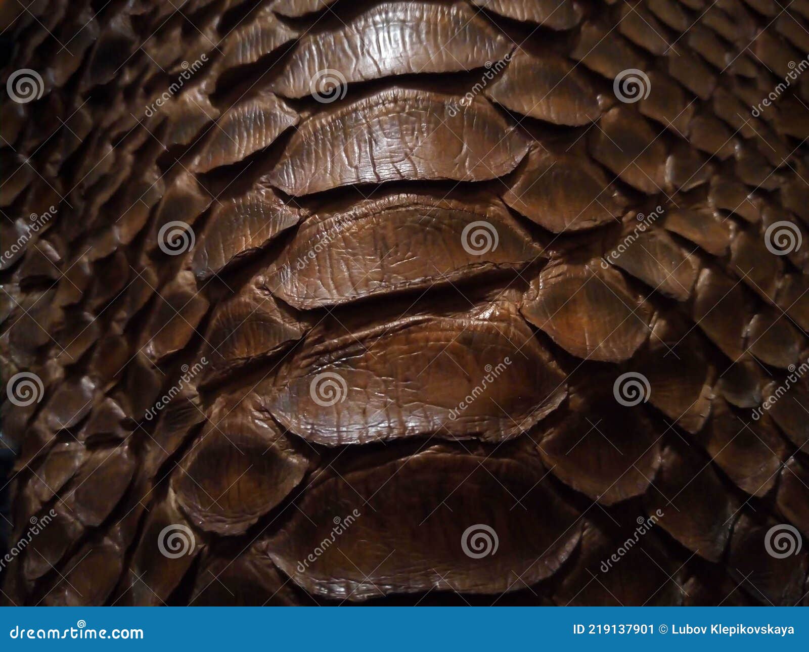 Close Up of Black Snake Texture. Dark Reptile Skin Background Stock ...
